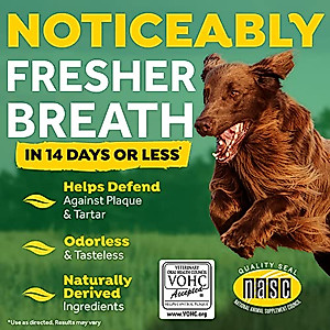 TropiClean Fresh Breath Original | Dog Oral Care Water Additive | Dog Breath Freshener Additive for Dental Health | VOHC Certified | Made in the USA | 33.8 oz.