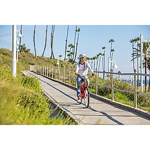 Schwinn Sanctuary 7 Comfort Beach Cruiser Bike for Adult Women Men, 7-Speed Drivetrain in Retro-Styled 17-Inch Steel Step-Through Frame, 26-Inch Wheels, With Front & Rear Fenders, Rear Cargo Rack