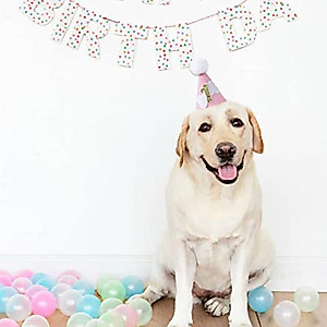 Dog Bone 1st Birthday Hat - Dog Birthday Party Decorations,1st Birthday Crown for Dogs, Dog Pet Birthday Hat Party Accessorise (Pink Dog Birthday HAT)