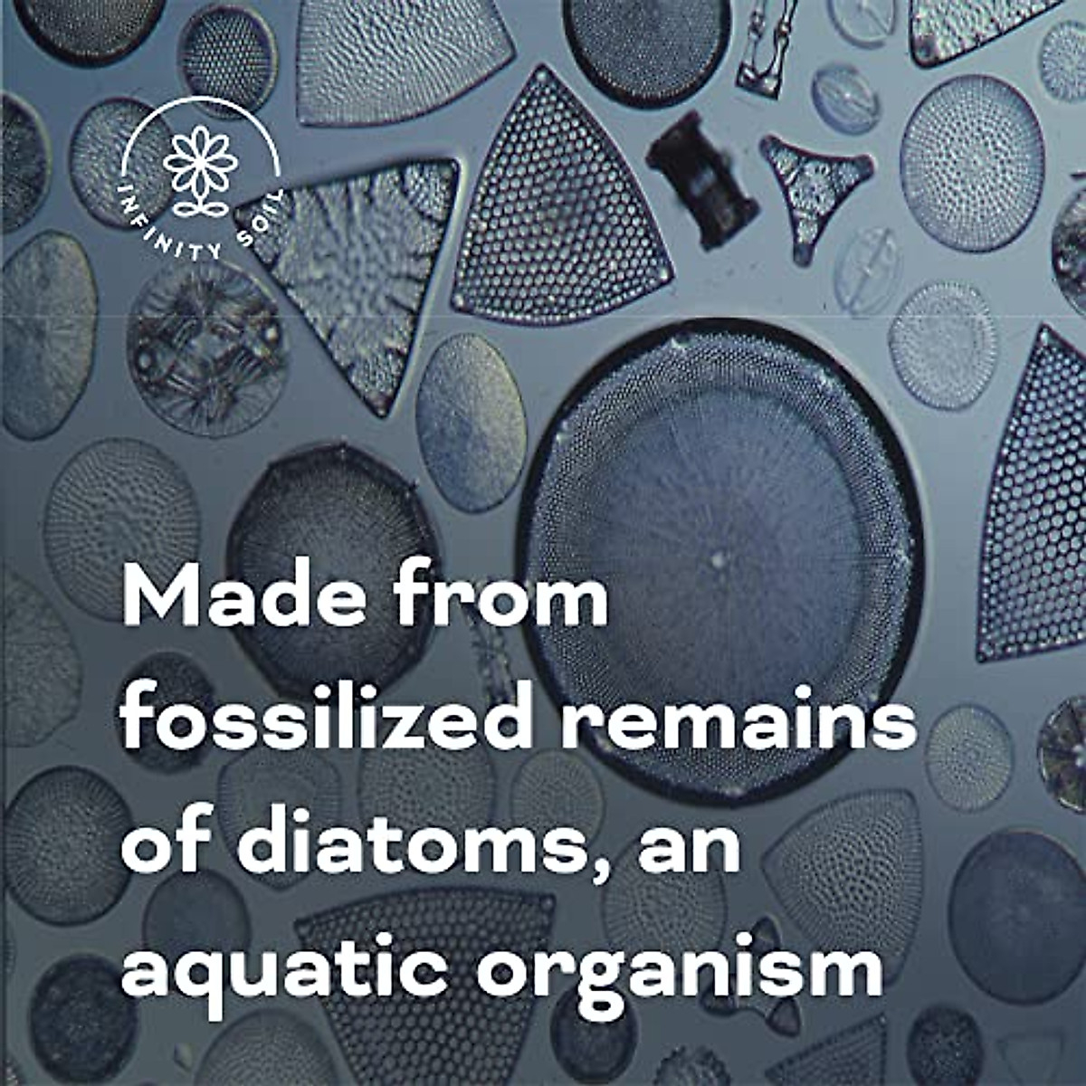 Infinity Soil Diatomaceous Earth - 2 lbs - Sustainable and Natural Soil Amendment - A Natural Source of Silica - Increases Soil Water and Nutrient Retention