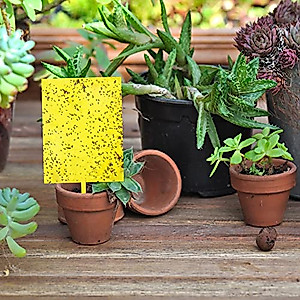 Garutom 20-Pack Dual-Sided Yellow Sticky Traps for Flying Plant Insect Such as Fungus Gnats, Whiteflies, Aphids, Leafminers, etc (6x8 Inches, Included 20pcs Twist Ties)