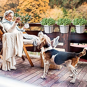 Wesiti 10 Pcs Round Hanging Flower Stand Balcony Planters Railing Hanging Metal Rack Fence Railing Planters Outdoor Balcony Hanging Flower Stand Shelf Container