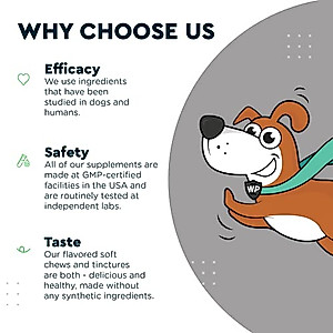 Premium Liquid Glucosamine for Dogs – Extra Strength Joint Support, Flexibility, Cartilage & Mobility - Hip and Joint Supplement with Chondroitin, MSM, Collagen & Hyaluronic Acid - All Ages (16 oz)