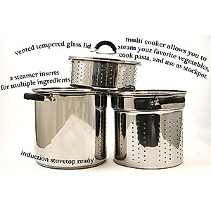 ExcelSteel 12 Qt Multifunction Stainless Steel Pasta Cooker with Encapsulated Base, Vented Glass Lid, and Riveted Silicone Covered Handles