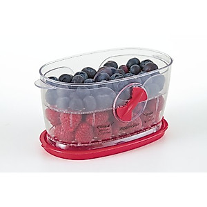 Prepworks by Progressive Berry Keeper,Red