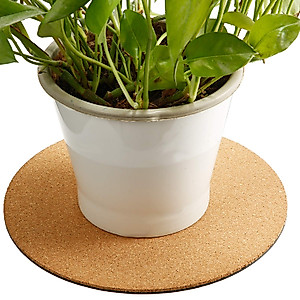 6 Pieces Cork Plant Mat Plastic Plant Mat Round Plate Pad for Garden, Courtyard, Pot Mat, Indoor Outdoor and DIY Craft Project (4 Inches, 6 Inches, 8 Inches)