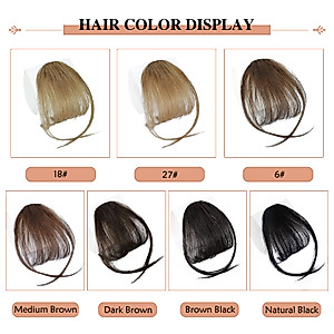 HANYUDIE Clip in Bangs 100% Real Human Hair Bangs Dark Brown Bangs Hair Clip with Temple Clip on Bangs Hair Extensions for Women (Dark Brown)