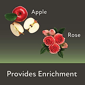 Kaytee Field+Forest Mini Hay Bales Apple and Rose 2 Pack 7 Ounces