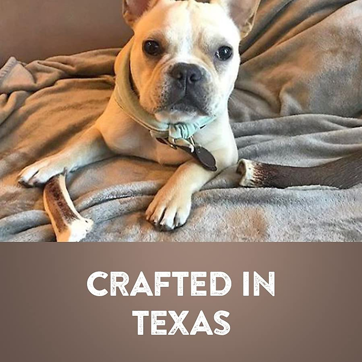 WhiteTail Naturals | 3 Pack Medium | Deer Antler Dog Chews | All Natural Organic Antlers for Dogs | Long Lasting Antler Bones for Dogs | Durable Antler Dog Toy