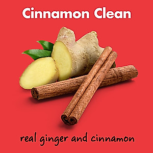 Chewsday Small Daily Dental Dog Chews, Minty Fresh and Cinnamon Clean, Made in The USA, Natural Highly-Digestible Oral Health Treats for Healthy Gums and Teeth