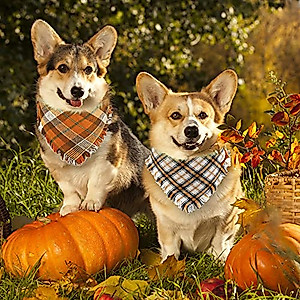 YUJUN 2 Pack Thanksgiving Pet Dog Bandana Fall Autumn Plaid Double Layer Fabric Reversible Triangle Bibs Scarf Pet Accessories for Thanksgiving Fall Small to Medium Pet Costume Supply(Tassel Style)