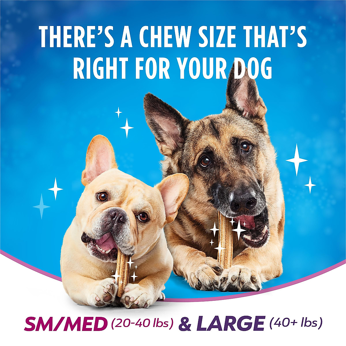 Dentalife Purina Plus Digestive Support Chicken and Pumpkin Flavor Large Dog Dental Chews, MP - 19 ct. Pouch