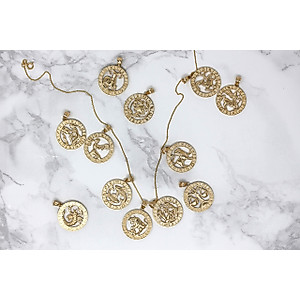 CaliRoseJewelry 14k Yellow Gold Pisces Zodiac Pendant Necklace, 22"