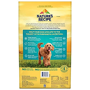 Nature’s Recipe Easy to Digest Dry Dog Food, Chicken, Rice & Barley Recipe, 24 Pound Bag