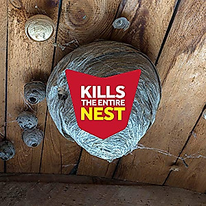 Raid Wasp and Hornet Killer Spray, Kills the entire nest, Kills Paper Wasps, Yellow Jackets, Mud Daubers and more, 14 oz