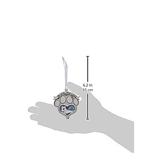 Cathedral Art (Abbey & CA Gift Paw Prints Pet Memorial Photo Ornament, Multi