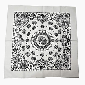 Vamqor 3pcs Bandana for women and men 100% Cotton Custom Fashion Paisley Design Multifunctional Outdoor Square Handkerchief（1 pack assorted）