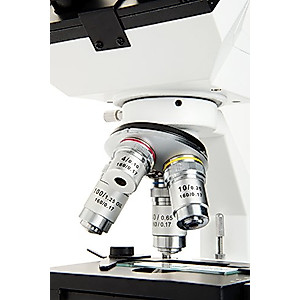 Celestron – Celestron Labs – Binocular Head Compound Microscope – 40-2000x Magnification – Adjustable Mechanical Stage – Includes 2 Eyepieces and 10 Prepared Slides