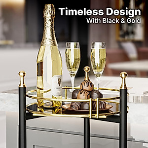 BENOLDY 2 Tier Plant Stand Table - Black Metal Frame with 2 Portable Golden Plate Tray, Plant Holder Stand, Serving Cart Tray and Wine Rack, Indoor/Outdoor Plant Shelf, Plant Pot Stand