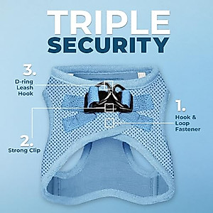 Voyager Step-in Air All Weather Mesh Harness and Reflective Dog 5 ft Leash Combo with Neoprene Handle, for Small, Medium and Large Breed Puppies by Best Pet Supplies - Set (Baby Blue), M