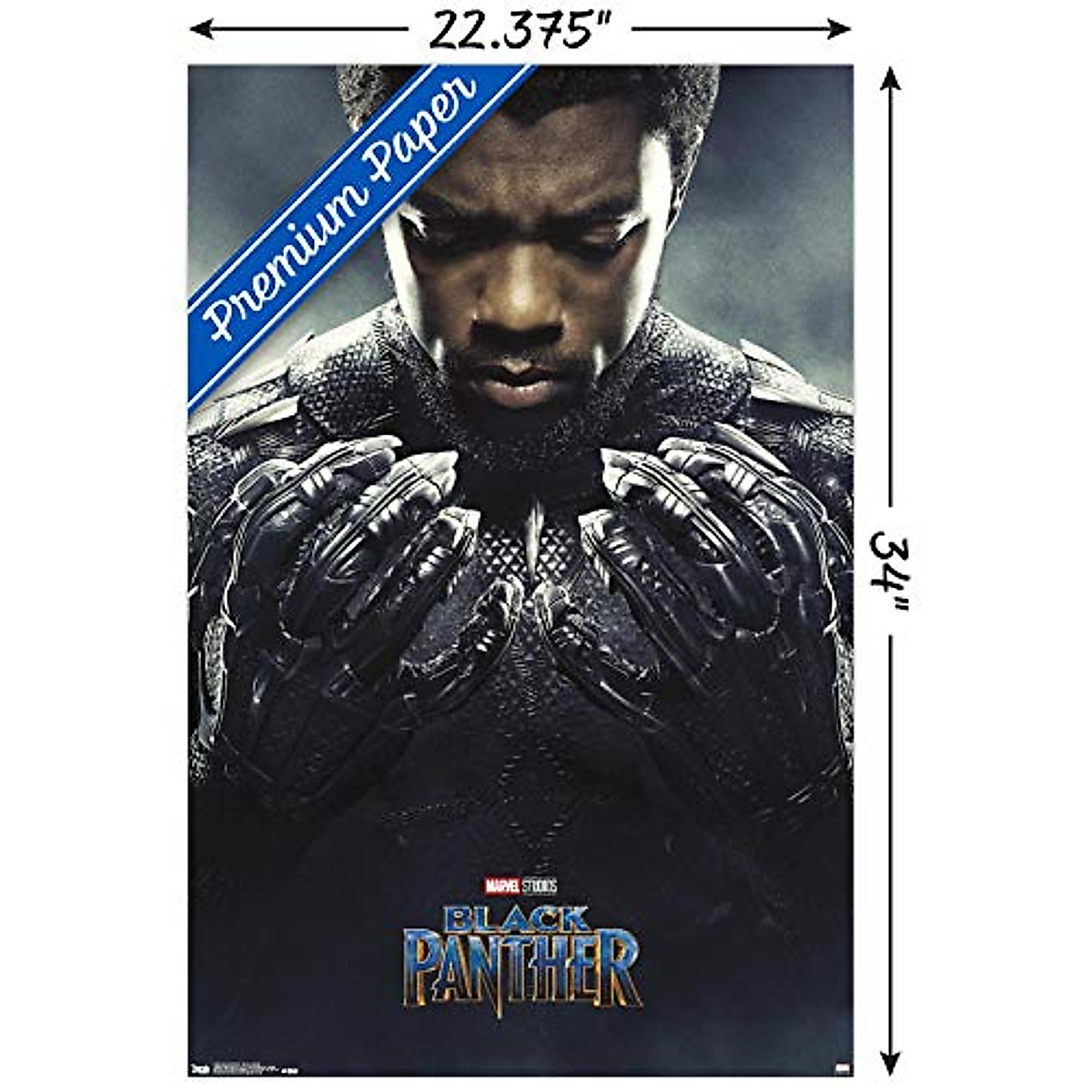 Trends International Marvel Cinematic Universe Black Panther - One Sheet Wall Poster, 22.375" x 34", Premium Unframed Version