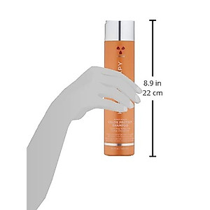 KERATHERAPY Keratin Infused Color Protect Shampoo, 10.1 fl. oz., 300 ml - Gluten Free Color Protecting Shampoo for Color Treated Hair with Kerabond Technology, Red Raspberry Oil, Omega 3 & 6