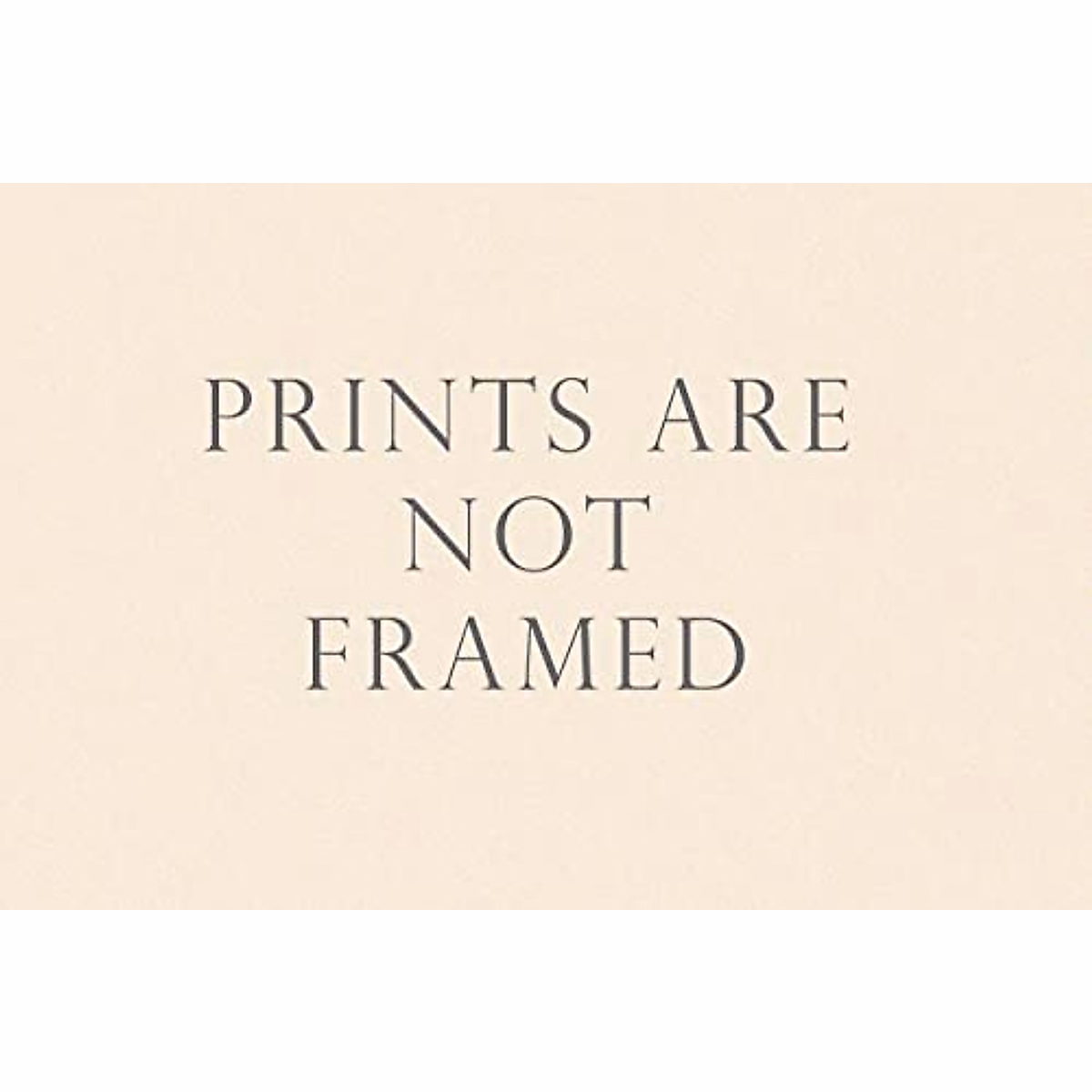 Wildflower Photography Print (Not Framed) Vertical Picture of Indian Paintbrush Standing Out in Bluebonnets on Spring Day in Texas Nature Wall Art Flower Decor (5" x 7")