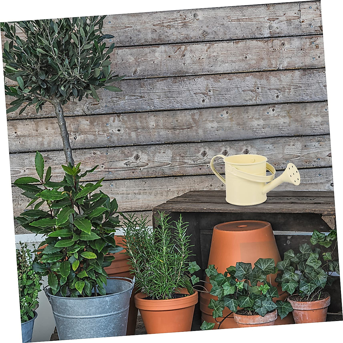 10 pcs Pour and Sprinkler Can Mini Spout Galvanized Plant Portable Yard Tin Pot Succulents Long Bucket Small for Cans Shabby Spray Kettle Display Metal Watering Sturdy