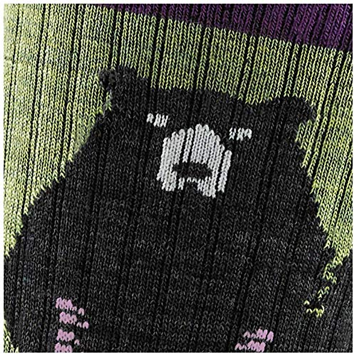 Darn Tough Women's Bear Town Micro Crew Lightweight with Cushion - Large Lime Merino Wool Socks for Hiking