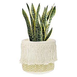 Heavenera 12 inch Round Cotton Storage Baskets Herringbone Bohemian Cotton Storage Baskets Collapsible Nursery Baskets Hand Woven Boho Baskets as Planters Storage (12inch, Zigzag,Beige)
