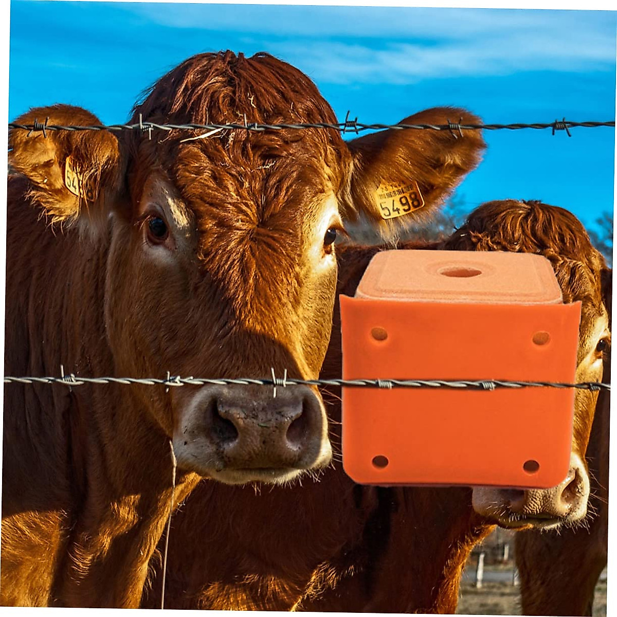 POPETPOP 2pcs Tray Fodder Trays Pig Feeding Bowl Feeding Bucket for Horses Mineral Block Holder Cattle Block Holder Sheep Salt Lick Box Thickened Livestock Feeder Appendix Orange Animal