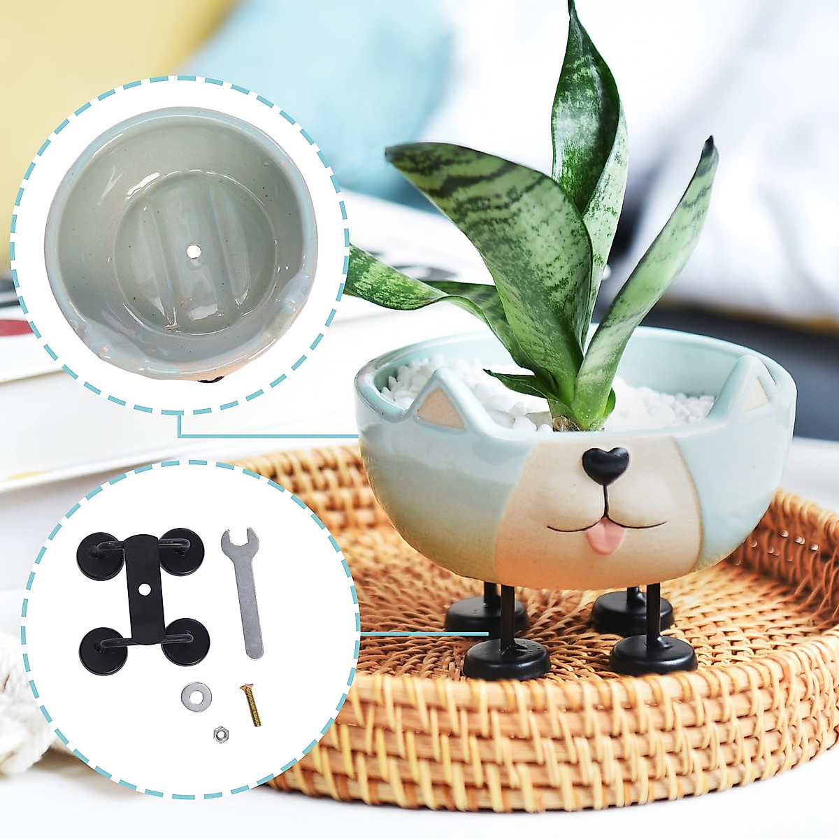 Pointnio Cute Plant Pots,Ceramic Garden Pots,Plant Gifts for Woman,Planters for Indoor Plants.Small Pots for Plant.Spring Flower Pots.Spider,Succulent Pots 6"+4.8"+4" Set of 3