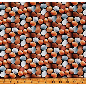 Cotton Eggs Allover Farm Fresh Food Chickens Farmhouse Country Black Cotton Fabric Print by The Yard (FARM-CD2744-BLACK)