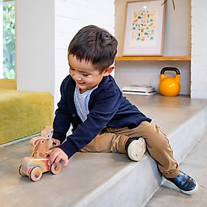 Tiger Tribe Rainbow Roller -Cruisin' Kitty