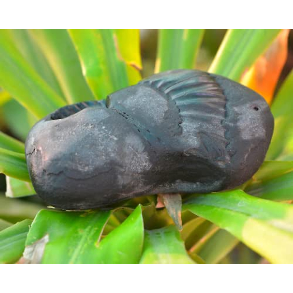 2.25"X4"Shri Laxmi Narayan Shaligram, Rare & Special One Piece, Religious Gifts, Saligram Stone - Gandaki River -I-6051