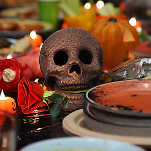 LAZY TIGER Halloween Fire Pit Skull Ceramic Props,Reusable Fireproof Skull Fire Pit, Halloween Decor for Fire Pit ,Fireplace, Gas, Halloween Horror Skull Decorations (1PCS)