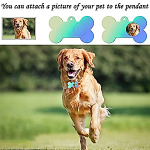 6 PCS Pet Tag Resin Molds, AFUNTA Dog Bone Shaped Tag Silicone Molds Photo Memorial Resin Molds Silicone with 10 Key Rings, for DIY Keychain Pet Tag Pendant Craft