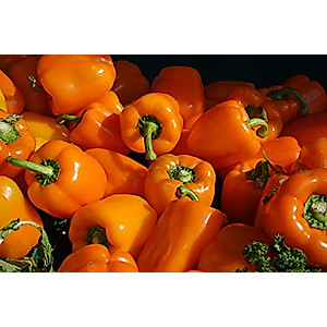 Sweet Bell Pepper Seeds “Sweet Horizon” - Juicy and Sweet Orange Bell-Shaped Peppers | Heirloom Seeds by Liliana's Garden |