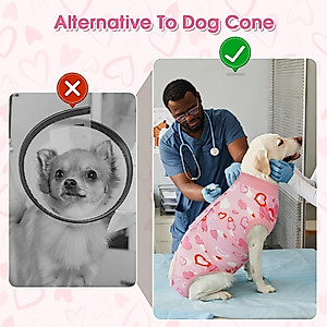 Kuoser Dog Surgery Recovery Suit, Valentine's Day Dog Surgical Recovery Suit for Female Male Dogs, Dog Onesies for Small Dogs, Pet Surgical Suit for Spay Neuter Dog Cone Alternative