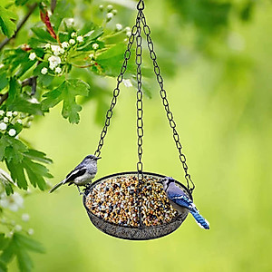 FLINTER Hanging Bird Feeder, Bird Feeder Hanging for Garden Yard Outside Hanging Bird Feeder Tray - Metal Mesh Platform Feeders for Birds Outside Outdoors Hanging for Attracting Birds - Genuine