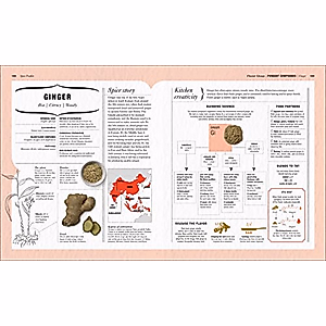 The Science of Spice: Understand Flavor Connections and Revolutionize Your Cooking