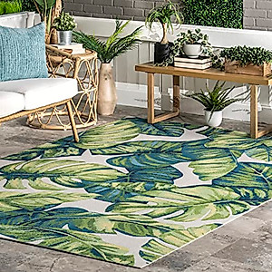 nuLOOM Lisa Floral Indoor/Outdoor Area Rug, 5x8, Multi