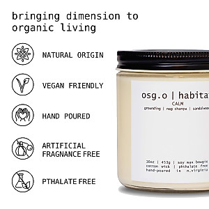 Scented Soy Wax Candle for Home with Hints of Nag Champa, Sandalwood, and Essential Oils, Non Toxic Aromatherapy Candles, 16oz, Calm Scent