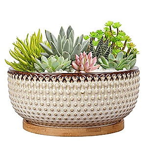 EPFamily 8 Inch Succulent Planter + 5.7 Inch + 4.7 Inch Flower Pot for Indoor Plants