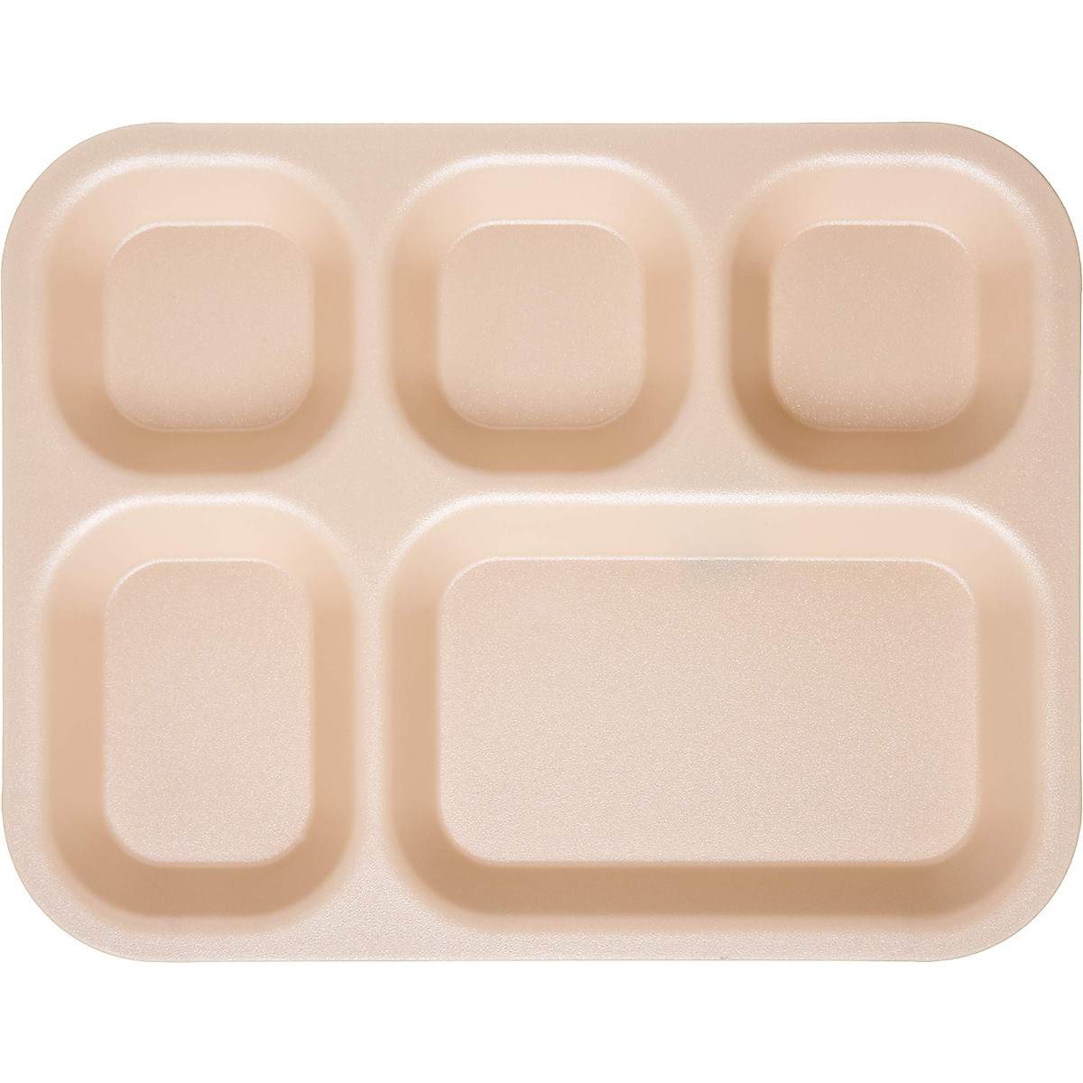Polycarbonate 5-Compartment Tray