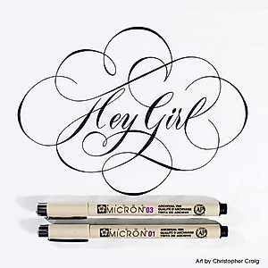 SAKURA Pigma Micron Fineliner Pens - Archival Black Ink Pens - Pens for Writing, Drawing, or Journaling - Assorted Point Sizes - 10 Pack