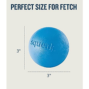 Outward Hound Orbee-Tuff Squeak Ball Blue Dog Fetch Toy