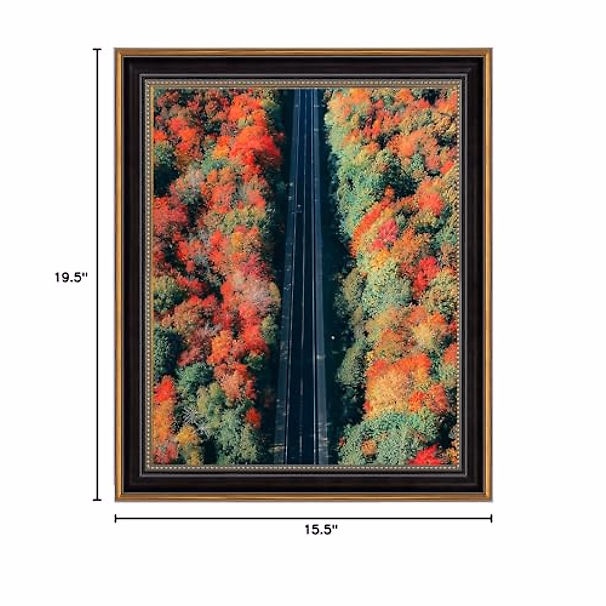 Space Art Deco, 16x20 Ornate Picture Frame Without Mat for 16x20 Photo,Shatter-Resistant Glass Sawtooth Hangers Wall Mount Display(Color Black/Ornate Gold)