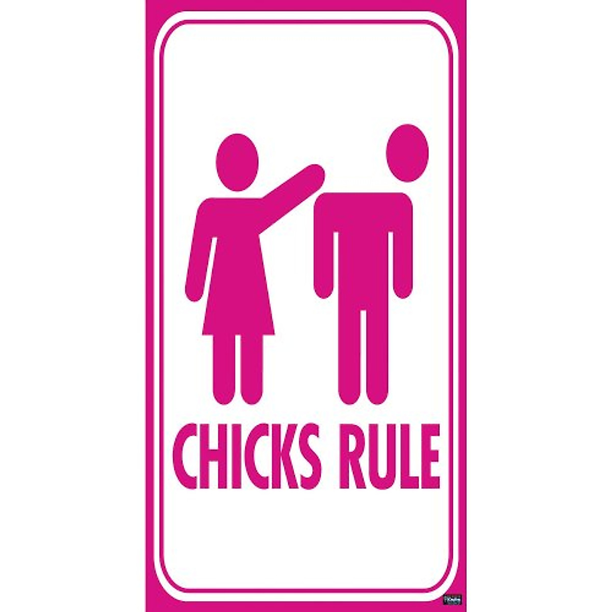 Creative Converting Swankies Chicks Rule Fashion Decorative Pocket Tissue Package for Parties