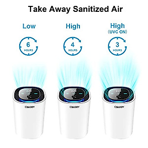 Calody Air Purifiers for Bedroom Home, Car air purifier Ionizer, 15 Million Negative Ions for Smokers, 30dB Quiet Portable Ionic Air Purifiers, Helps Alleviate Allergies, Dust, Smoke and more — Ideal for Traveling, Home, and Office Use